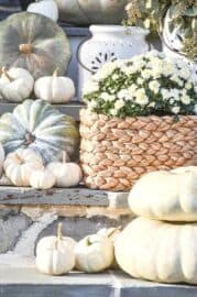 25 Pretty Pastel Fall Home Decor Ideas » Lady Decluttered