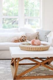 20 Indoor Minimalist Fall Decor Ideas » Lady Decluttered
