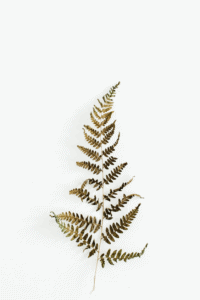 50 Gorgeous Neutral Fall Aesthetic Pictures » Lady Decluttered