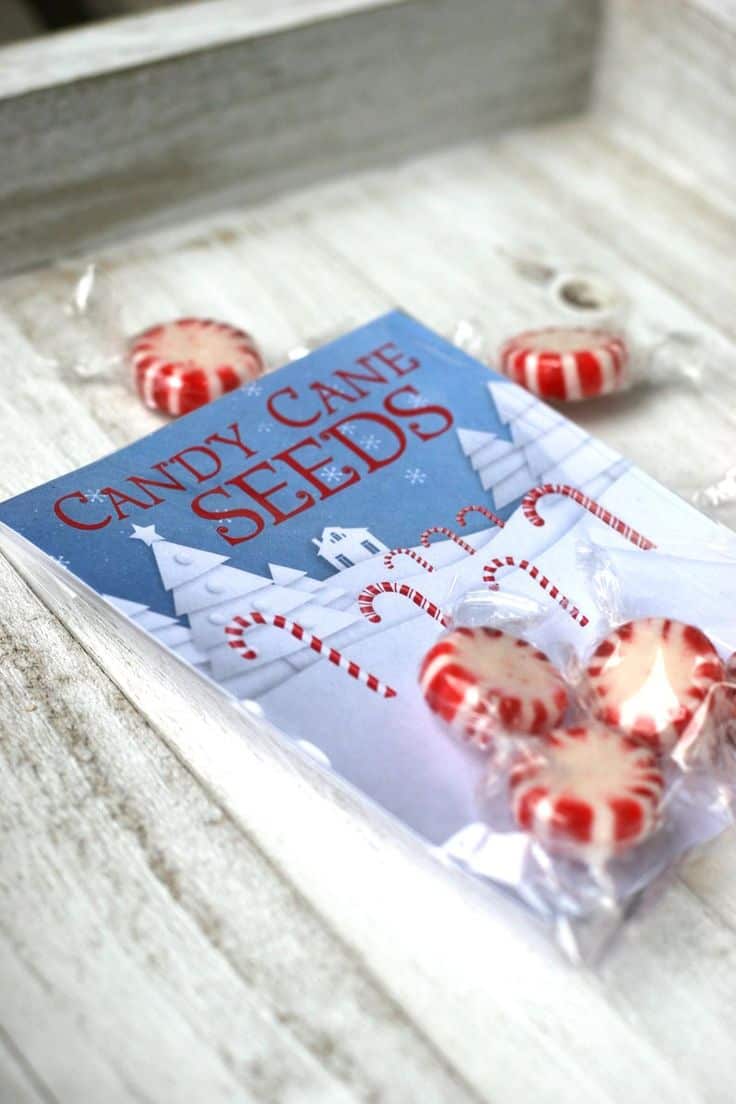 20 Creative Christmas Candy Gift Ideas » Lady Decluttered