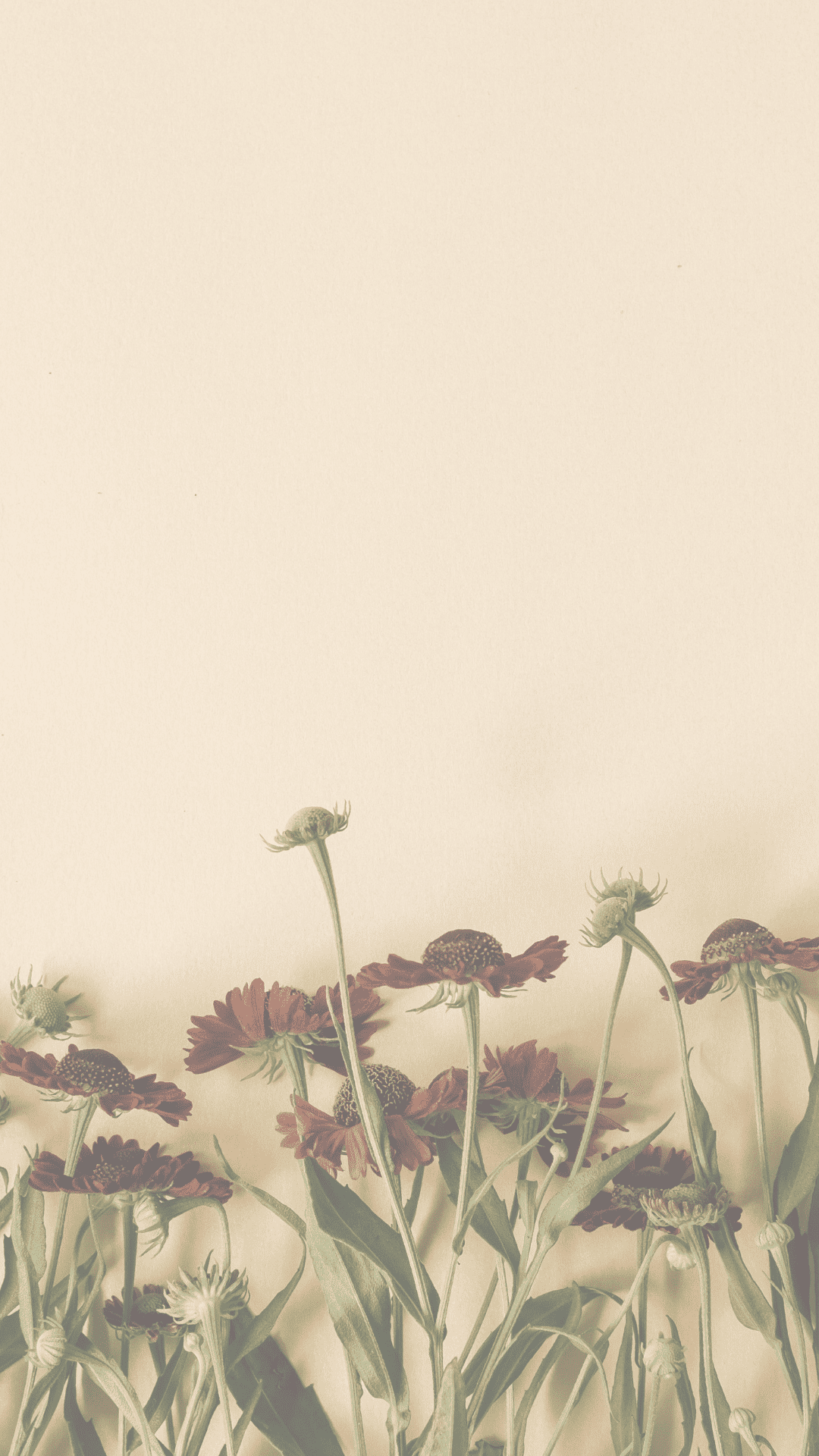 50 Neutral Spring Phone Wallpapers » Lady Decluttered