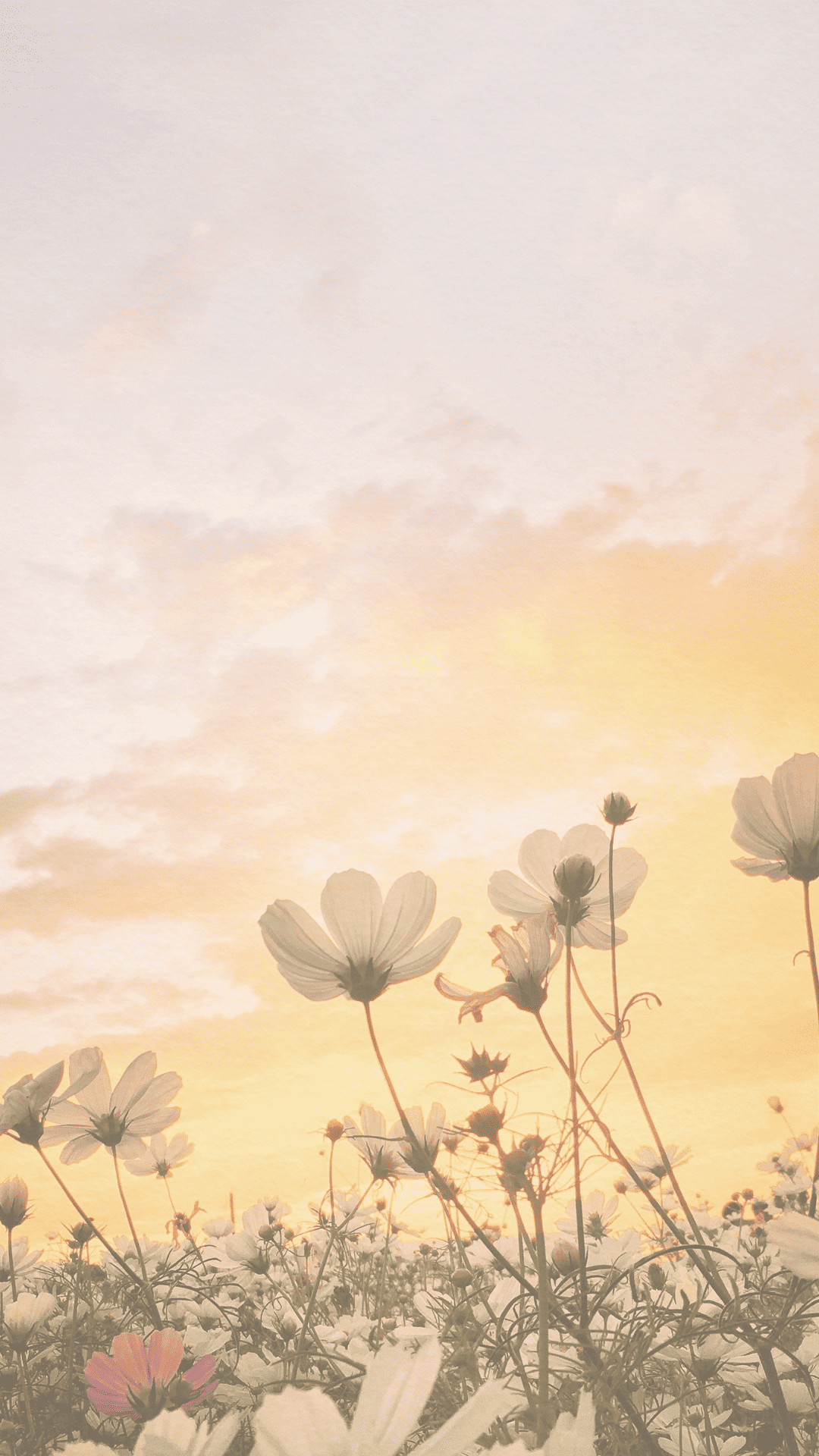 50 Neutral Spring Phone Wallpapers » Lady Decluttered