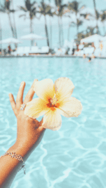 75 Neutral Summer Phone Wallpapers » Lady Decluttered