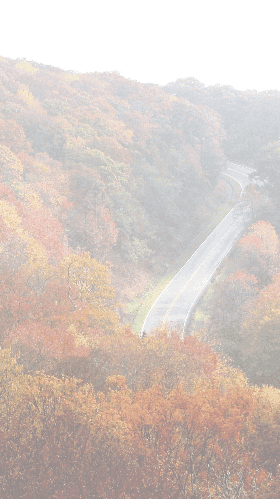 50 Neutral Fall Phone Wallpapers » Lady Decluttered