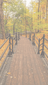 50 Neutral Fall Phone Wallpapers » Lady Decluttered