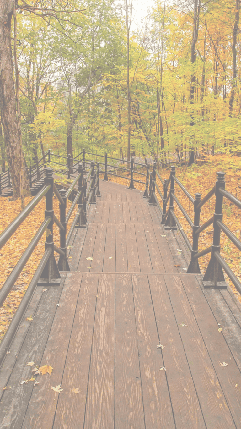 50 Neutral Fall Phone Wallpapers » Lady Decluttered