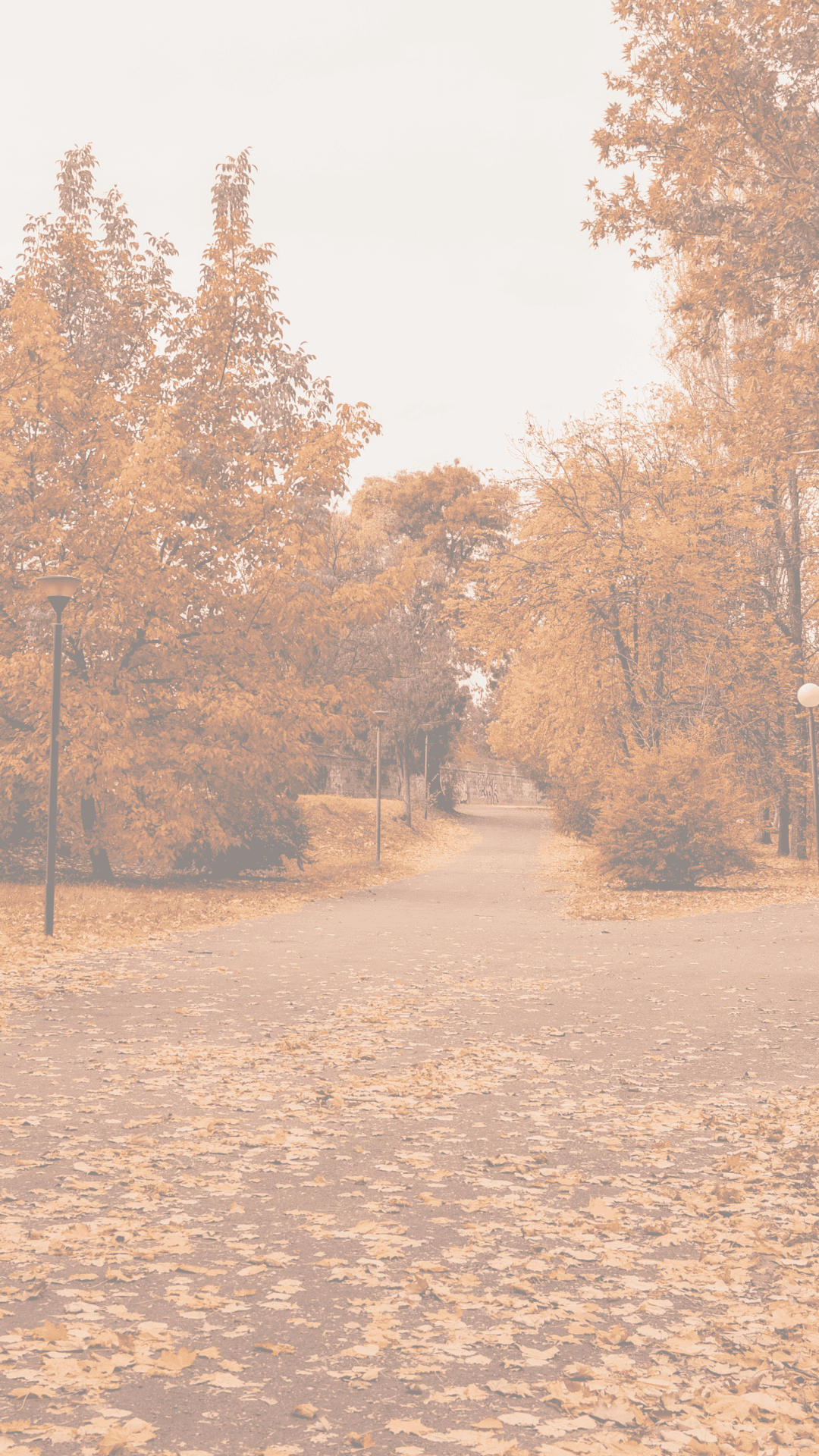 50 Neutral Fall Phone Wallpapers » Lady Decluttered