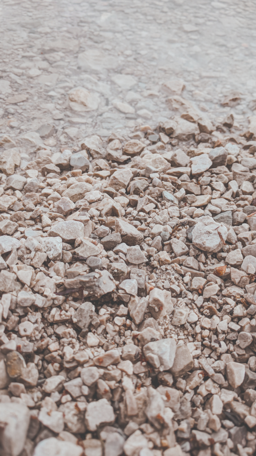 30 Neutral Beach Phone Wallpapers » Lady Decluttered