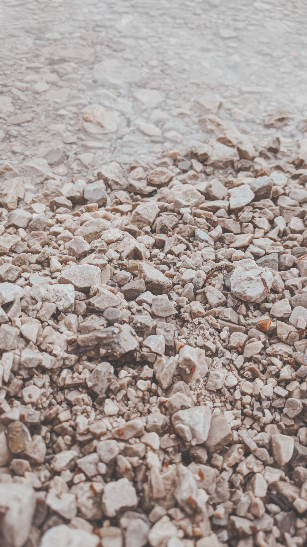 30 Neutral Beach Phone Wallpapers » Lady Decluttered