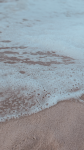 30 Neutral Beach Phone Wallpapers » Lady Decluttered