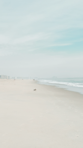 30 Neutral Beach Phone Wallpapers » Lady Decluttered