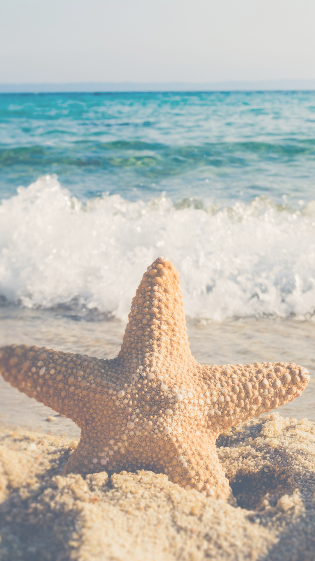 30 Neutral Beach Phone Wallpapers » Lady Decluttered