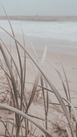 30 Neutral Beach Phone Wallpapers » Lady Decluttered