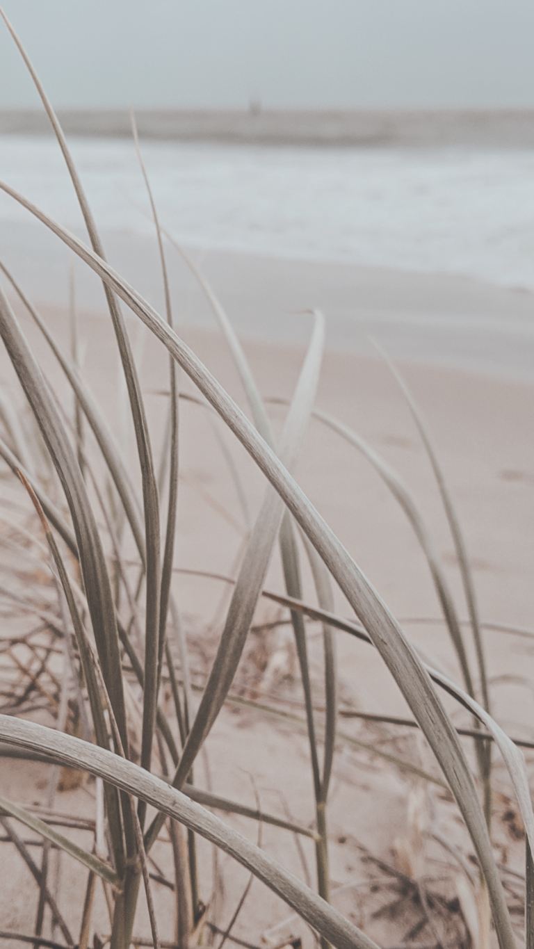 30 Neutral Beach Phone Wallpapers » Lady Decluttered