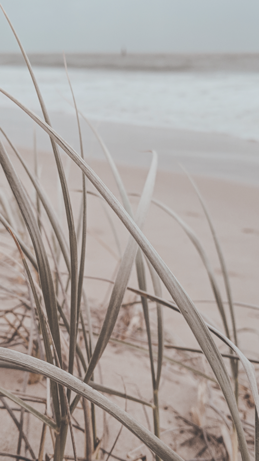30 Neutral Beach Phone Wallpapers » Lady Decluttered
