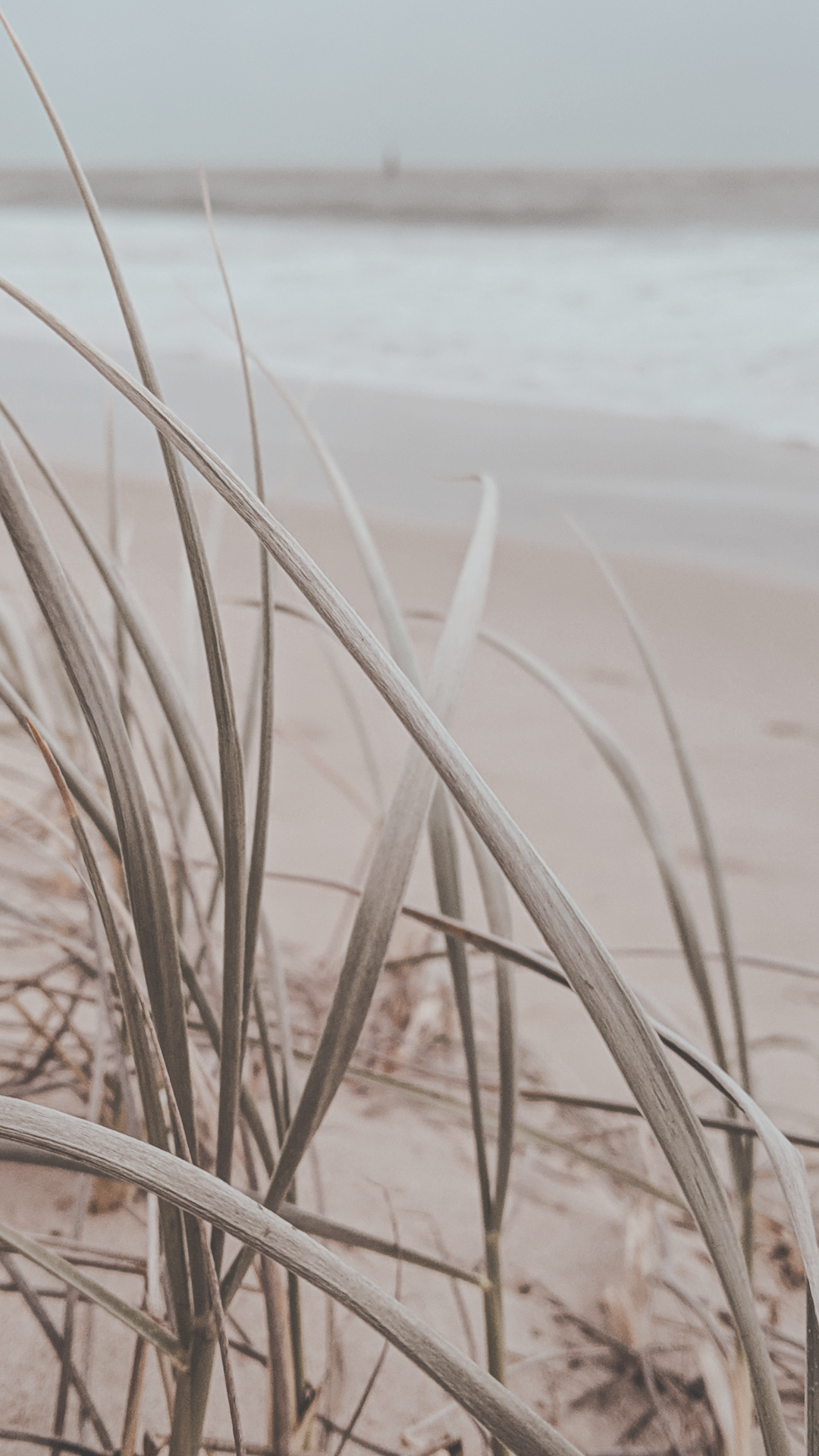 30 Neutral Beach Phone Wallpapers » Lady Decluttered