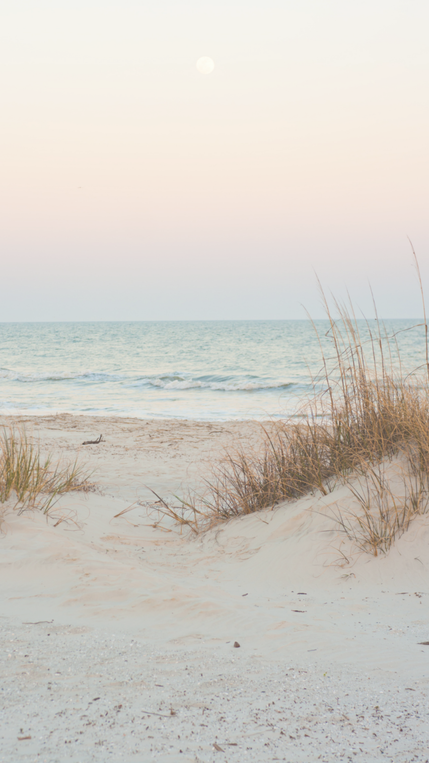 30 Neutral Beach Phone Wallpapers » Lady Decluttered