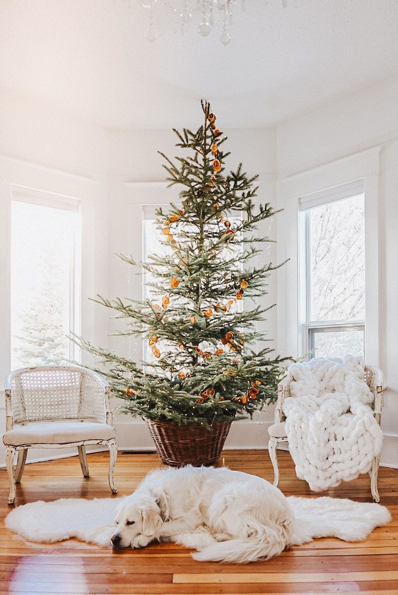 20 Simple Christmas Tree Ideas » Lady Decluttered